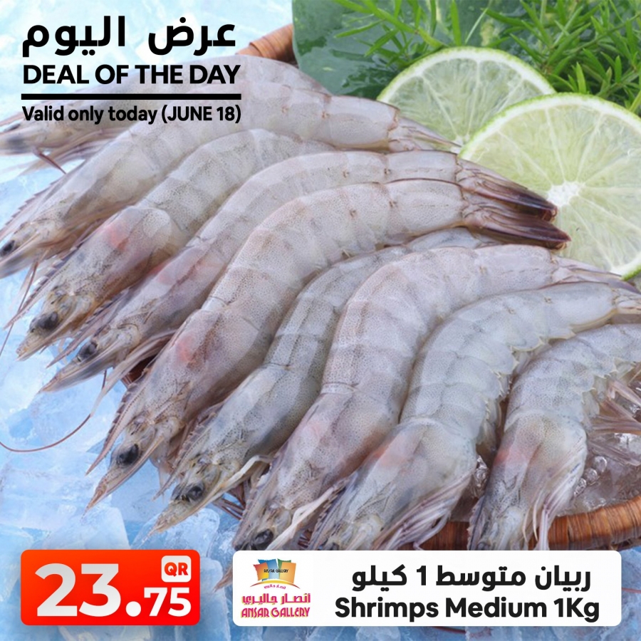 Ansar Gallery Deal Of The Day In Qatar on 18 June 2019